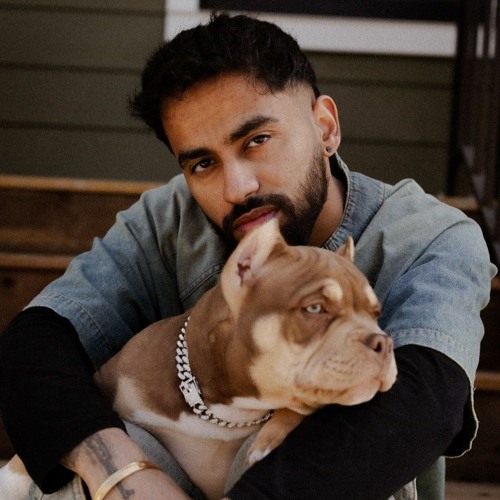 Stream New Punjabi Songs | Listen to Jerry New Album Raw playlist ...