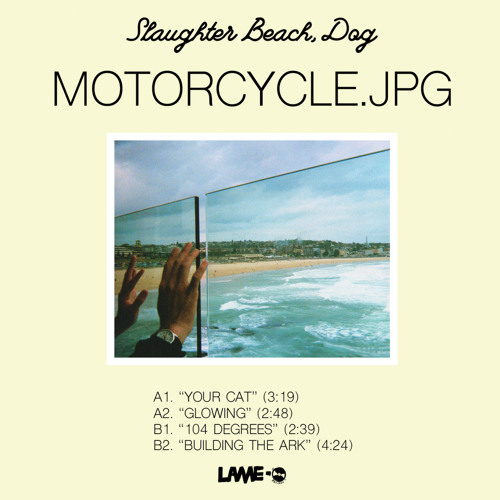 Stream Your Cat By Slaughter Beach Dog Listen Online For Free On