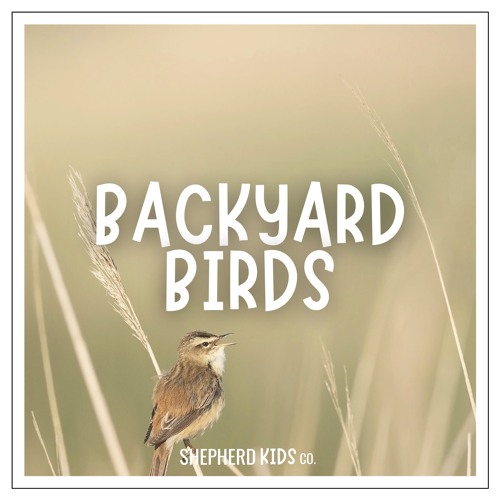 Stream Backyard Birds Sample from Shepherd Kids Co | Listen online for ...