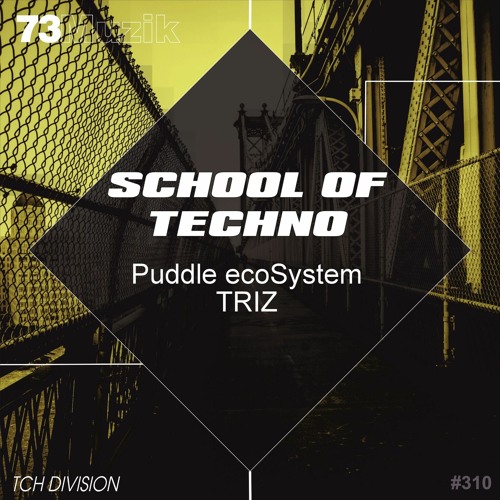 Stream Puddle EcoSystem - Triz (Original Mix) by Puddle ecoSystem ...