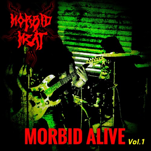 Stream Acid Suicide (Live) by Morbid Meat | Listen online for free on ...