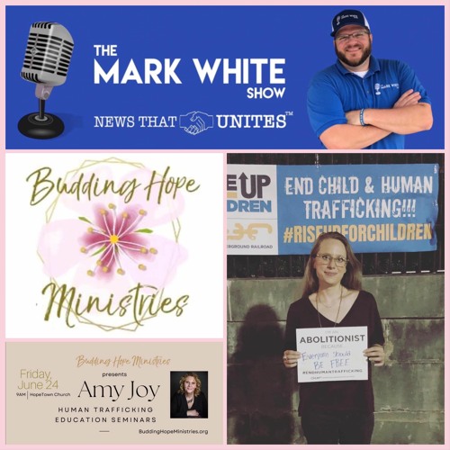 Stream episode Human Trafficking Awareness with Sara Laster of Budding ...