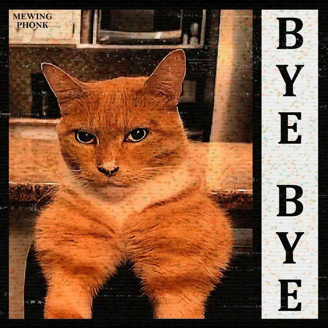 Stream BYE BYE - MEWING PHONK by Evielie | Listen online for free on ...
