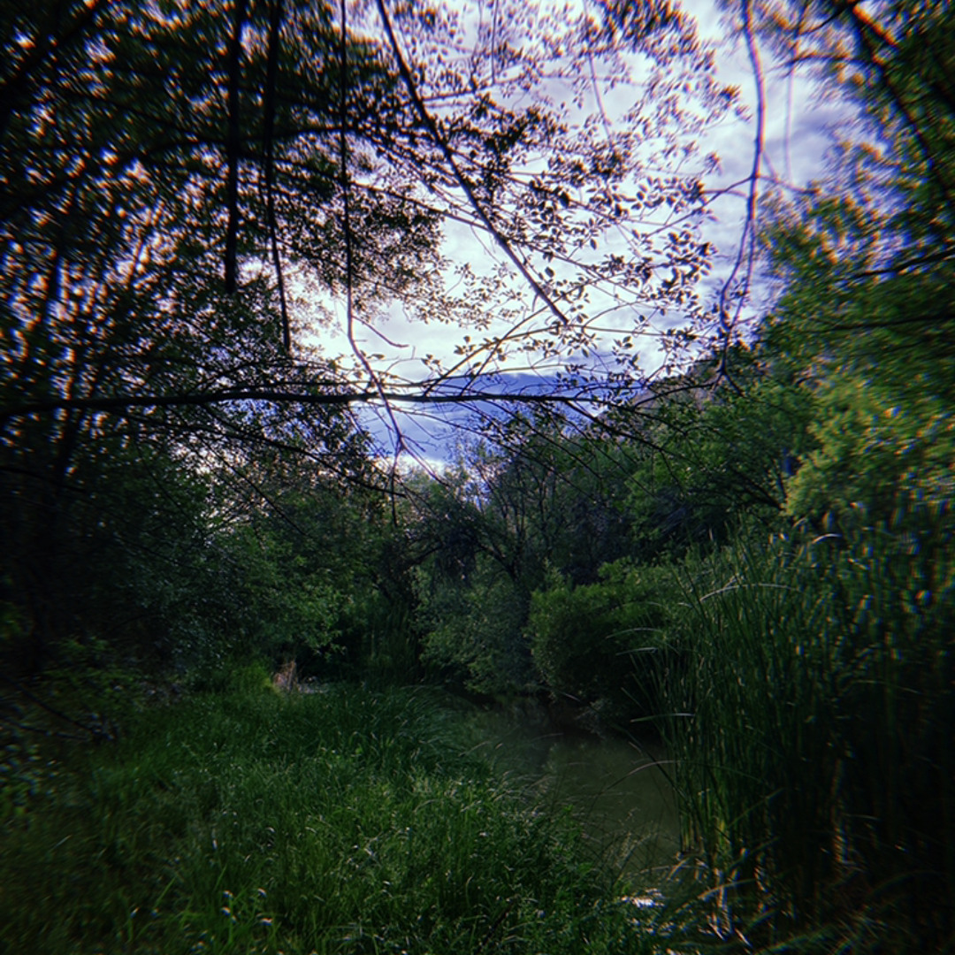 Stream The Cicada Room by Zach Dominguez | Listen online for free on ...