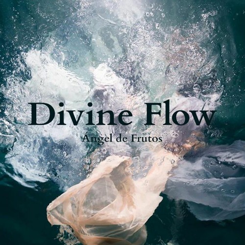 Stream Divine Flow Set 6 by Divine Flow | Listen online for free on ...