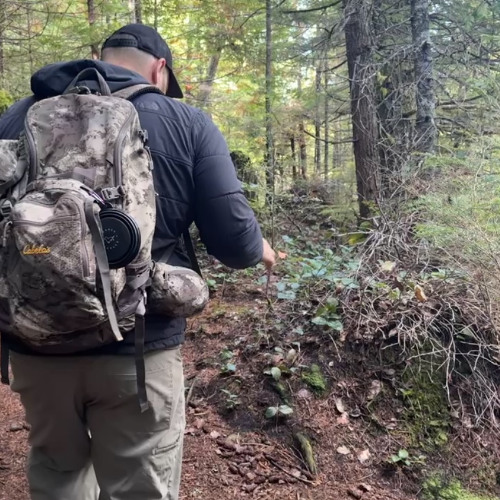 Stream episode Culture Connection | Ep 01 - The Culture of Hunting in ...