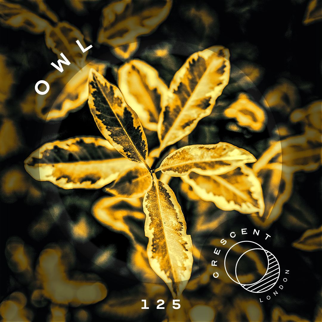 Stream • Crescent Textures #125 • OWL by Crescent London | Listen ...