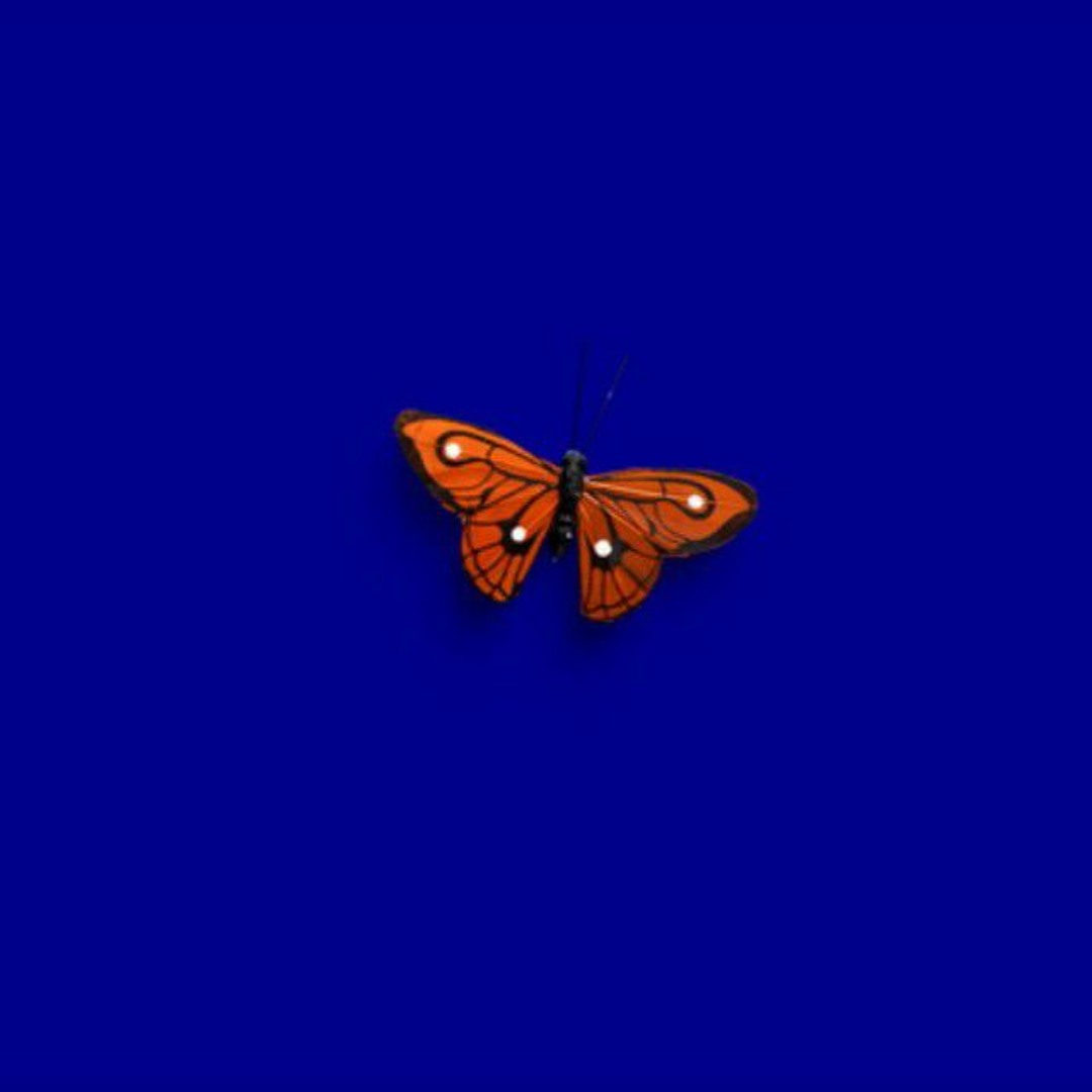 Stream The Bridle Path by CRIZZLE | Listen online for free on SoundCloud