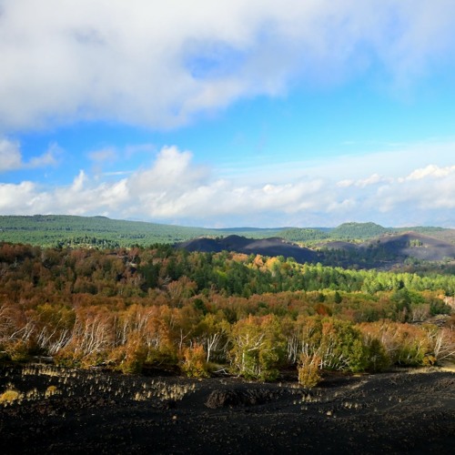 Stream "Convergent Boundaries" for Percussion Trio and Electronics ...