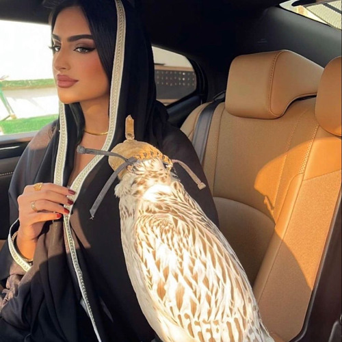 Stream Drake x Mehad Hamad by Soso | Listen online for free on SoundCloud
