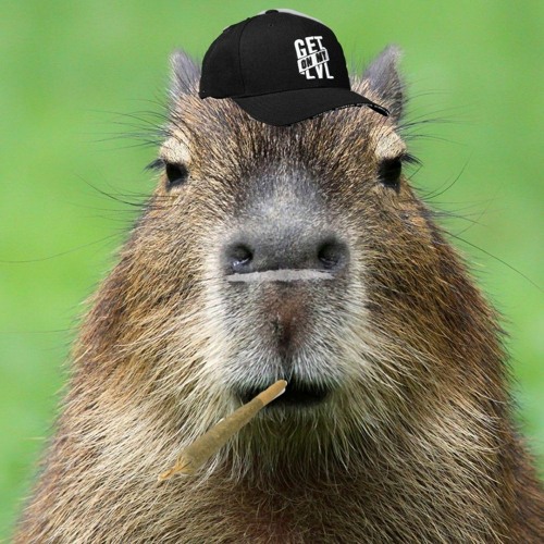 Stream Wieselburger420 | Listen to druff playlist online for free on ...