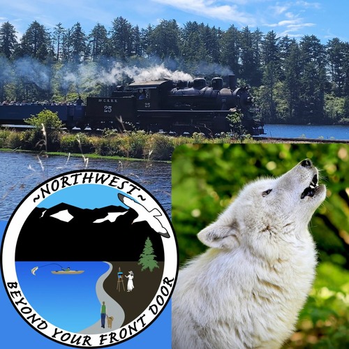 Stream episode White Wolves and Historic Trains by KXCR Community Radio ...