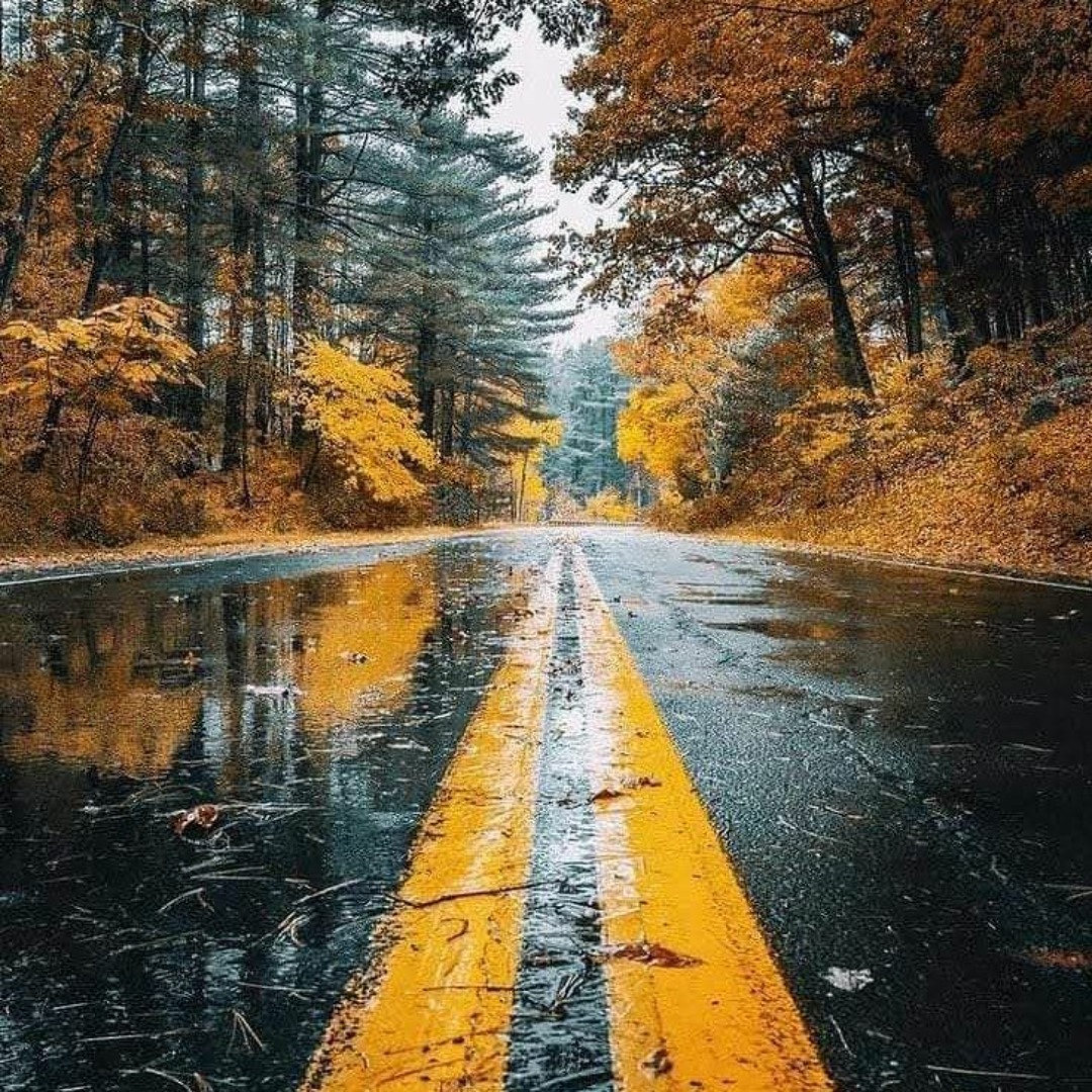 Stream Phan Thach | Listen to nhac co danh do dan choi playlist online ...