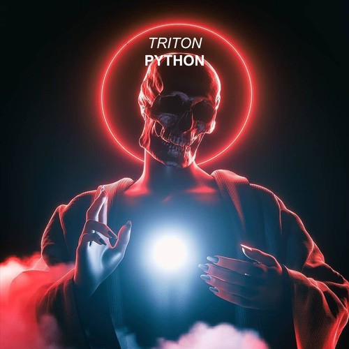 Stream Python by Triton | Listen online for free on SoundCloud