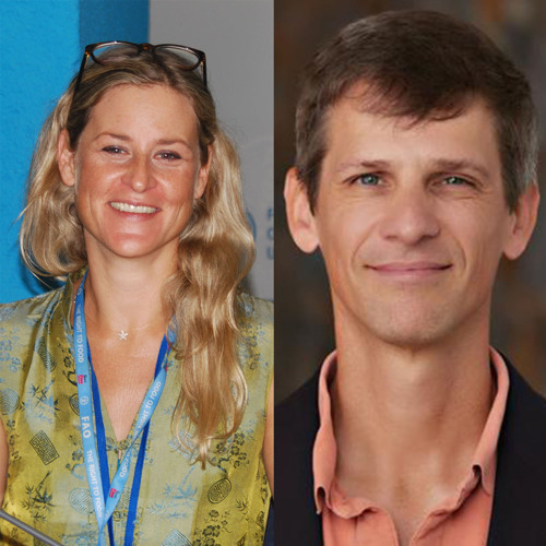 Stream episode Climate-smart strategies to sustain small-scale fishing ...