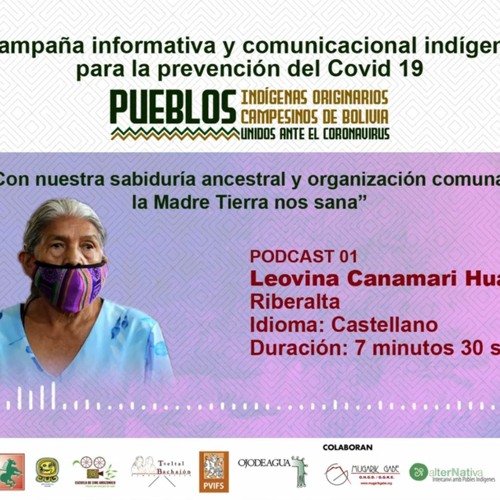 Stream LEOVINA CANAMARI HUARI - PODCAST 1 by Plurinacional Radio ...