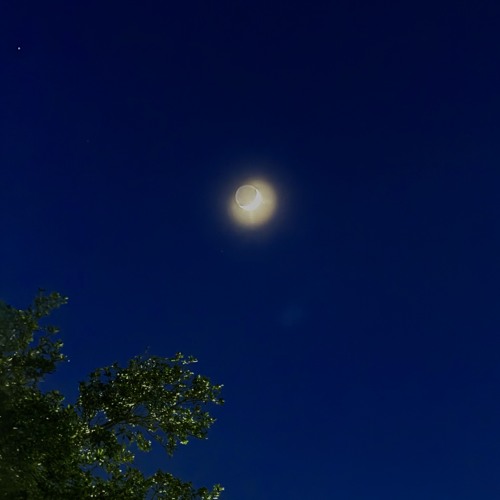 Stream 20 Feels Like July 2025 by Gonzo | Listen online for free on ...