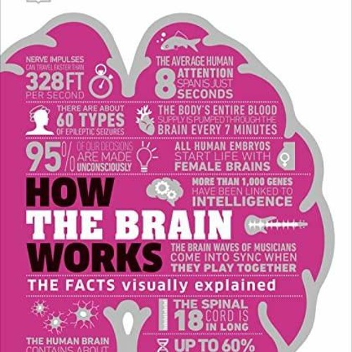 Stream ⚡️PDF⚡️ How the Brain Works: The Facts Visually Explained (DK ...