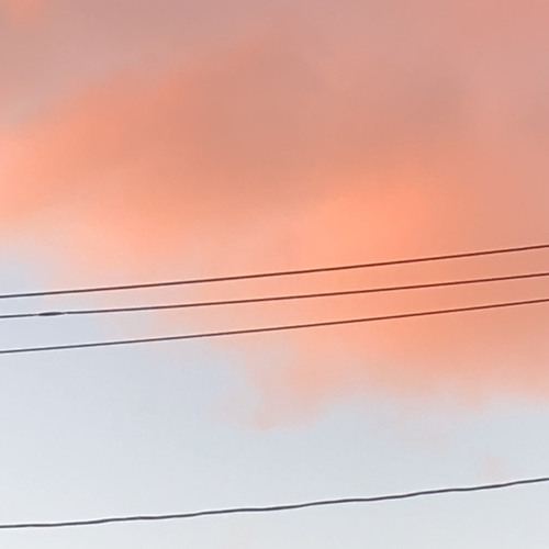 Stream last summer by Siyuan Xiang | Listen online for free on SoundCloud