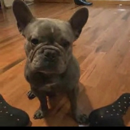 Stream New Year *prod cior* by Prod Blakevalid | Listen online for free ...