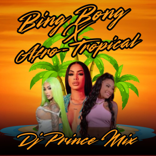 Stream BING BONG x AFRO TROPICAL DJ PRINCE MIX by THISISDJPRINCE | Listen online for free on ...