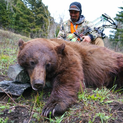 Stream Episode 223: Motivation with Brian Barney by Eastmans Elevated ...