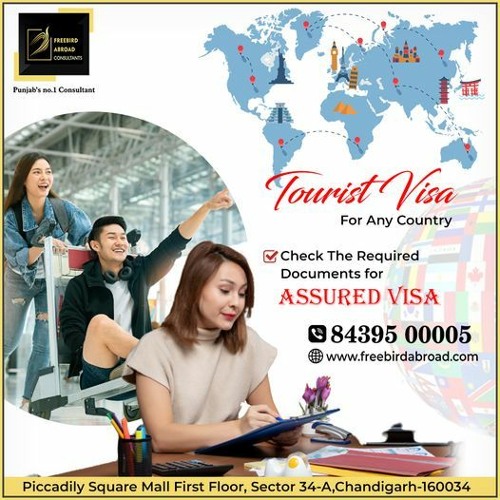 Stream UK Study Visa With High Ranking College & University by freebirdabroad | Listen online ...