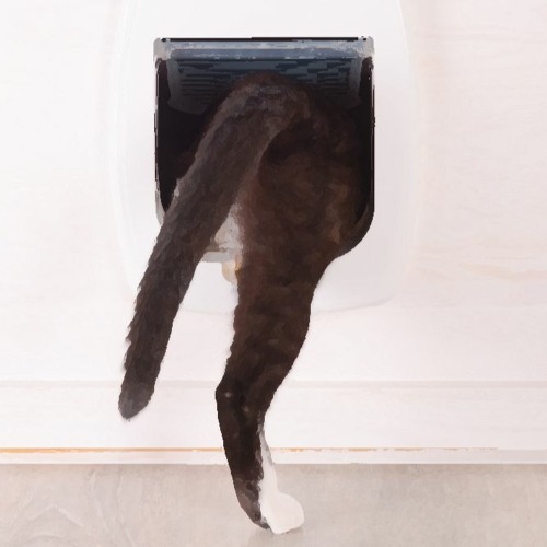 Stream 23.3.19 Bless The Lent We Have SS: "Blessed Are The Curious" By ...