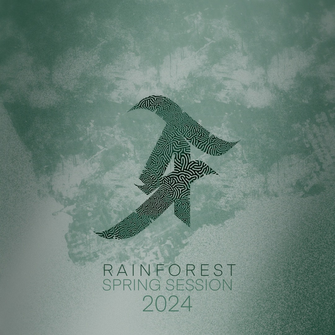 Stream Rainforest - Spring Session 2024 by Rainforest | Listen online ...