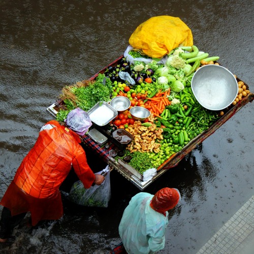 Stream India battles the wrath of this year's Monsoon - Bindu Gopal Rao ...