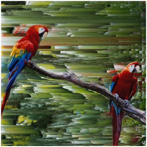 Stream Drew Hackney | Listen to Parrot playlist online for free on ...