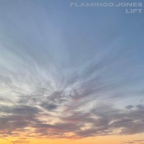 Stream Lift by Flamingo Jones | Listen online for free on SoundCloud