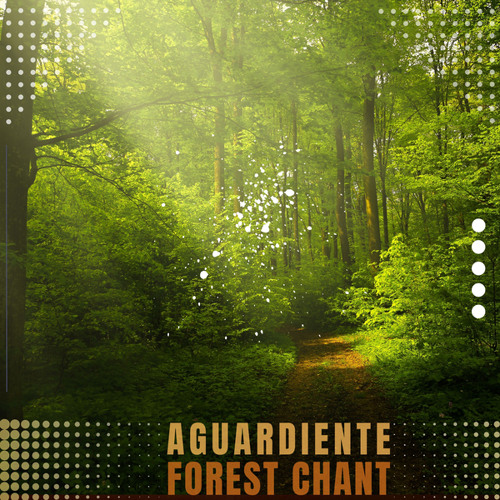 Stream Forest Chant (Enigma Mix) by Aguardiente | Listen online for ...