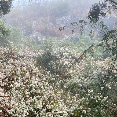 Stream 160 bpm Hybrid Mix by Carrad | Listen online for free on SoundCloud