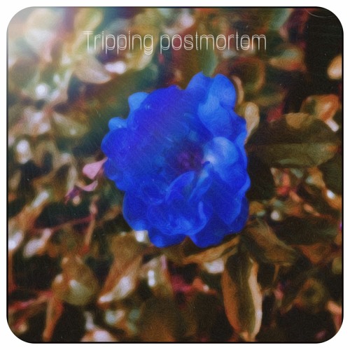 Stream Beginning: A Glimpse Into The Void by Boof Cat | Listen online ...