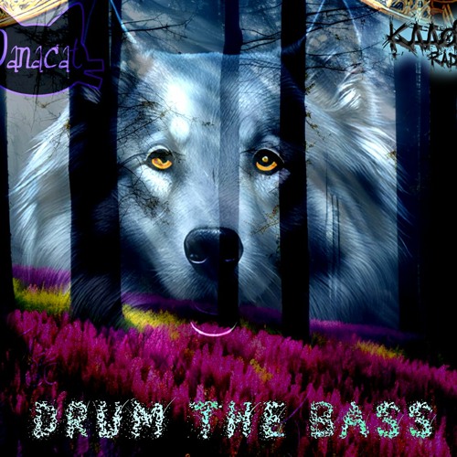 Stream Danacat - Drum the Bass 02 by dana cat | Listen online for free ...