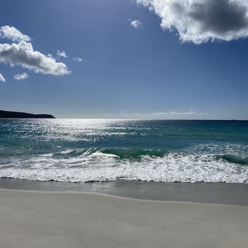 Stream Tyler McLeod 2 | Listen to Track Daddy playlist online for free ...