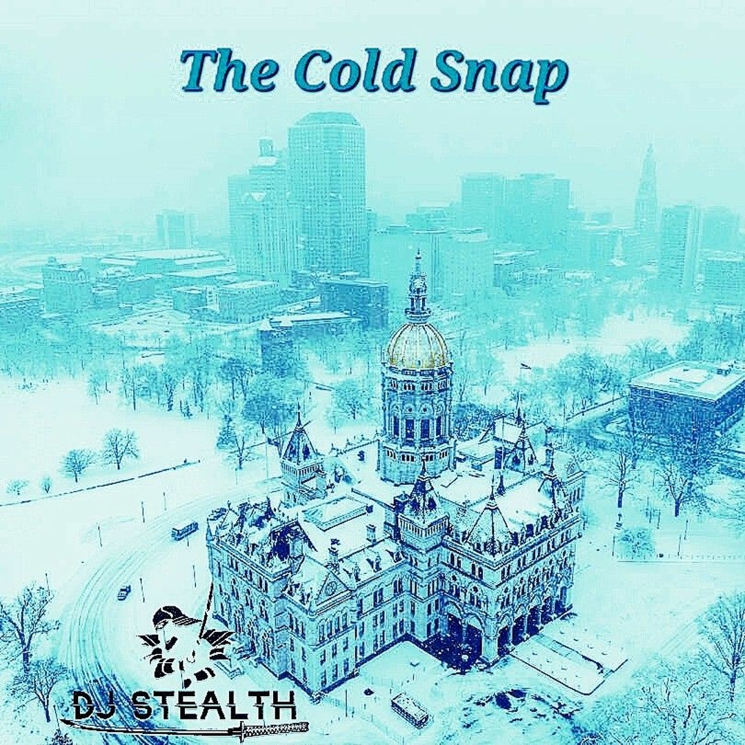 Stream DJ Stealth presents The Cold Snap (House Mix) by Stealth/Lion ...