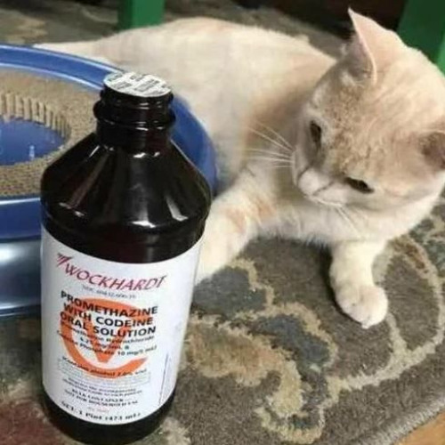 Stream *67 - broke my iphone :( w/ QQQ$CARGXD by luxcore archive ...