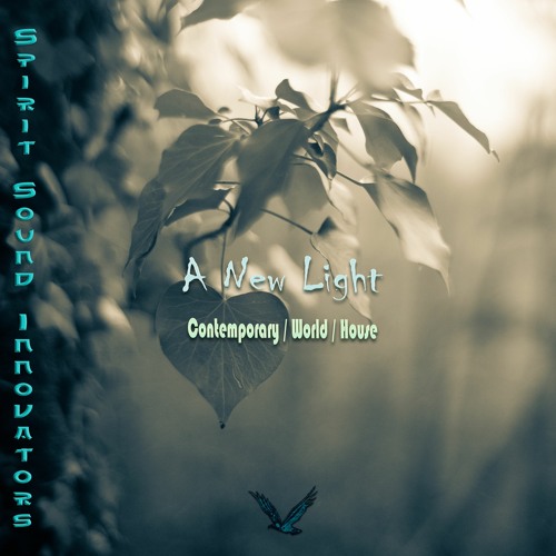 Stream A New Light - EP Mix 2022 by Spirit Sound Innovators | Listen ...