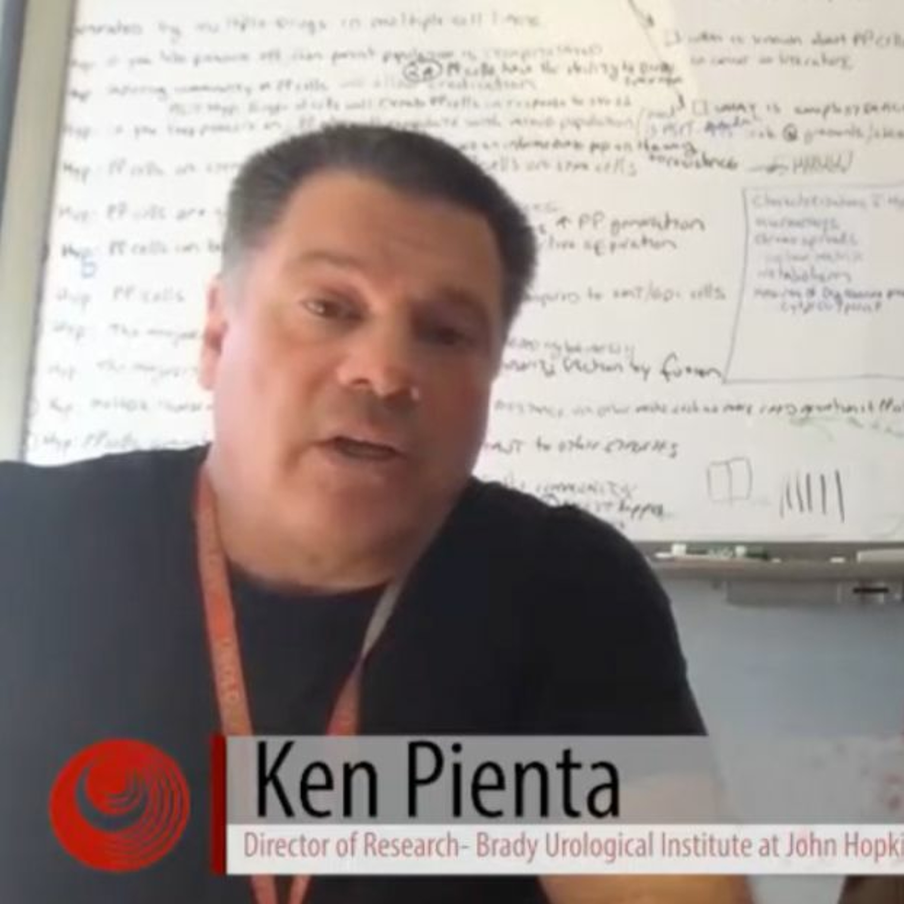 Antioxidant Derived From Turmeric May Offer New Treatment Hope For ...