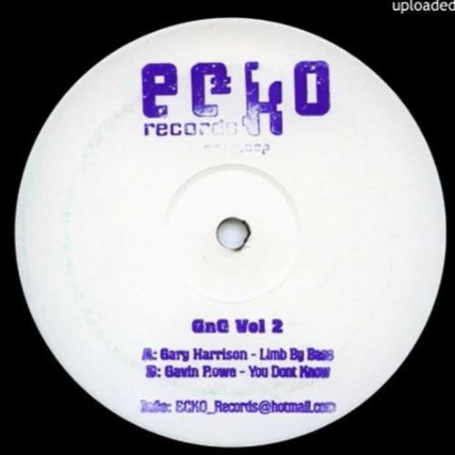 Stream Gavin Rowe [GnG] - You Don't Know [re-up / full] *Bassline House ...