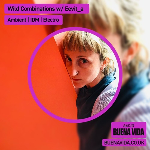 Stream Wild Combinations Ambient Special - Radio Buena Vida 31.01.25 by Radio Buena Vida ...
