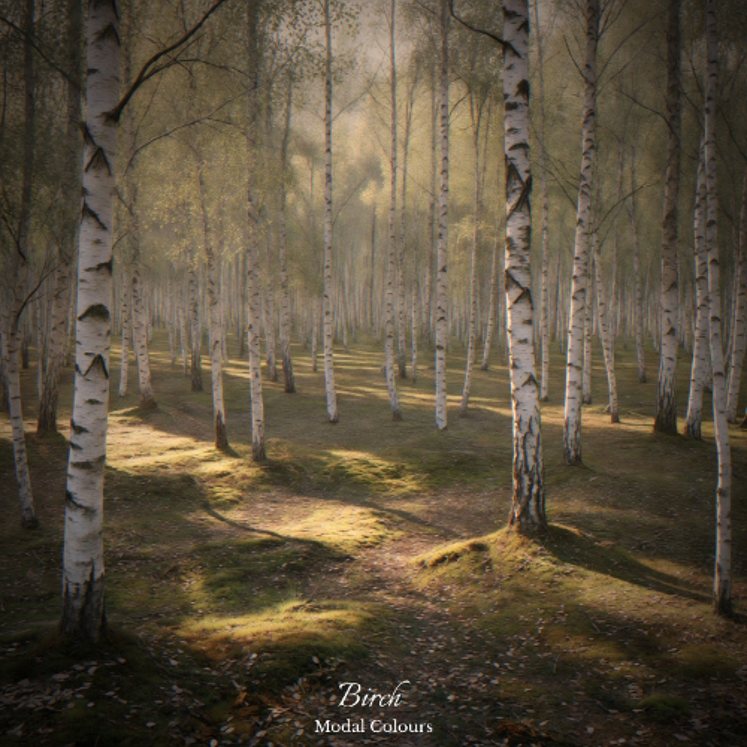 Stream Birch by Softwaves | Listen online for free on SoundCloud