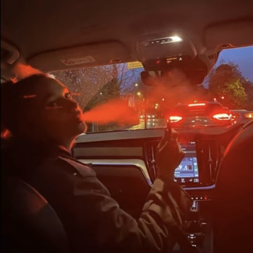 Stream a hoe gon stay a hoe (ft. jess bess) by Greenie T | Listen ...