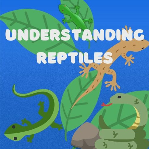 Stream episode Understanding Reptiles - Baxter, Jackson and Leo ...