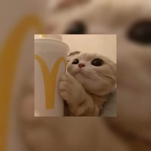 Stream Hi Hru | Listen to Untitled Playlist playlist online for free on ...