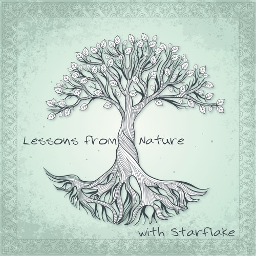 Stream episode Lessons from Nature - part 1 Pando by Lex McKee podcast ...