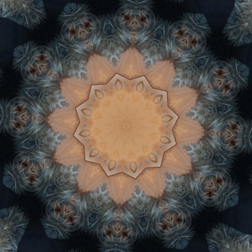 Stream A journey of allaying and effervescent fancy by Tera Mangala ...