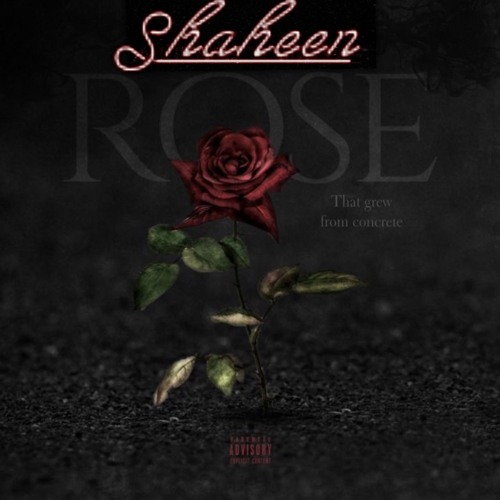 Stream Shaheen | Listen to Rose that grew from concrete playlist online ...